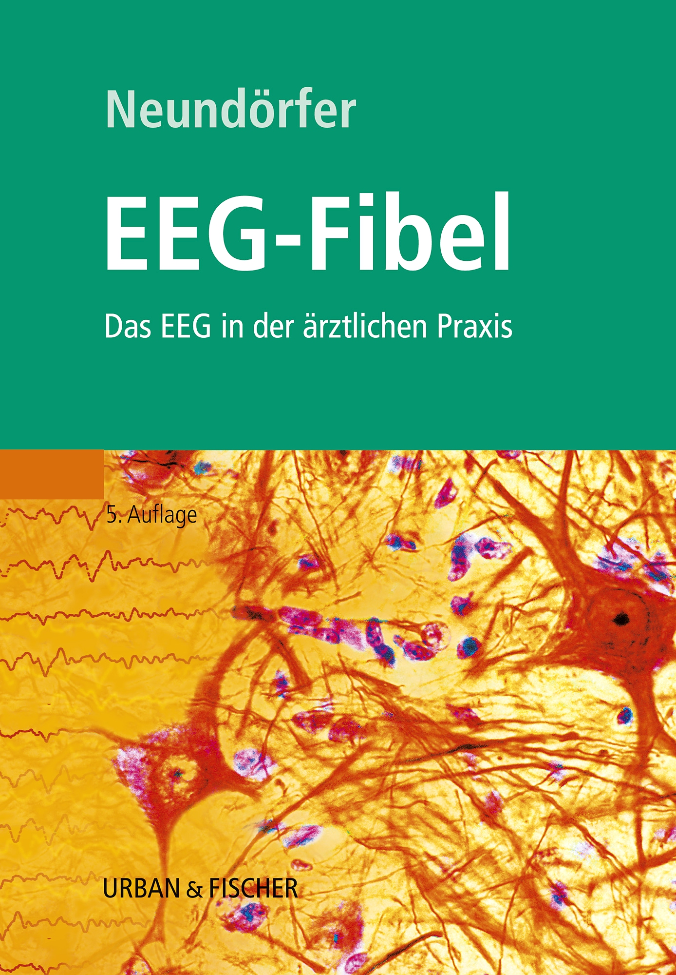 EEG-Fibel - 9783437220708 | Elsevier GmbH