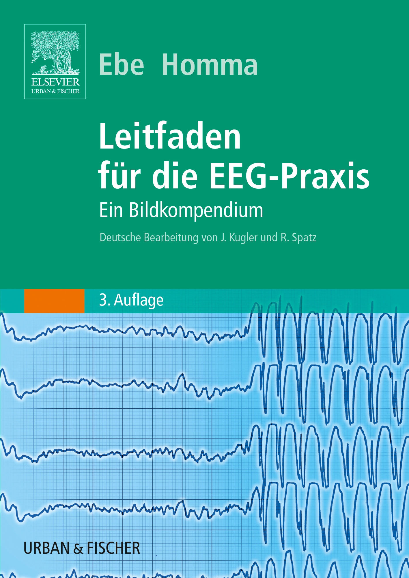 Leitfaden für die EEG-Praxis - 9783437511264 | Elsevier GmbH